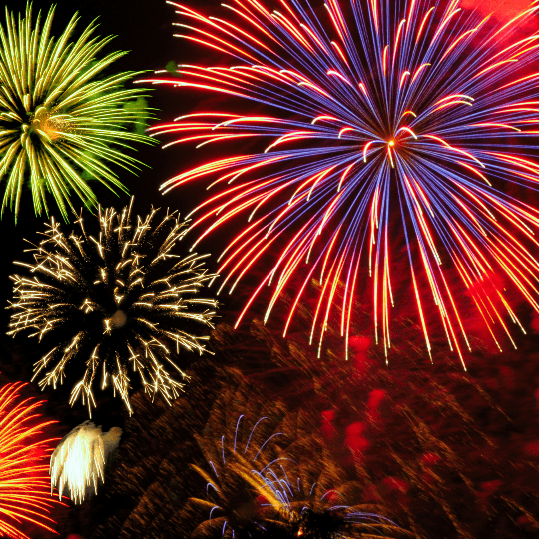 Pets and fireworks - how to keep your pet safe and secure